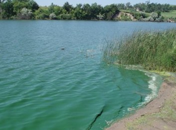 Sebelius Reservoir remains under public health warning; Webster in a ...