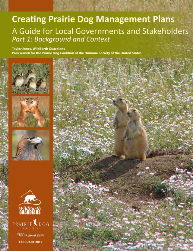 New tool to humanely manage prairie dog populations launches – Hays Post